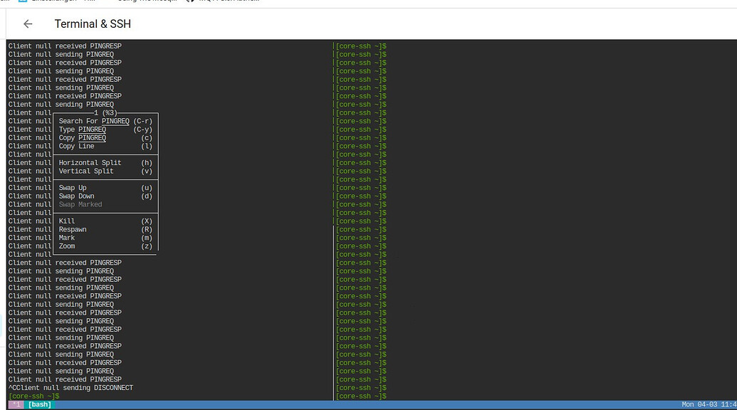 Terminal SSH Current Version 9 6 1 Copy Paste Installation