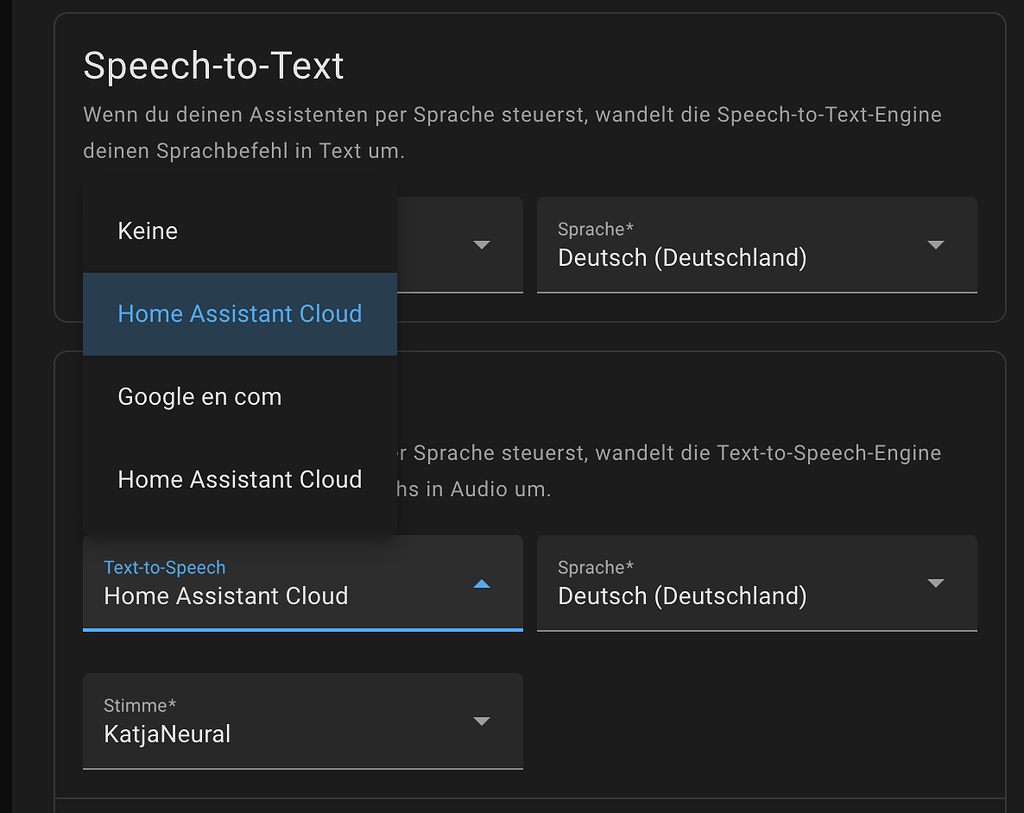 Text To Speech Twice In Assist Config Dialog Voice Assistant Home