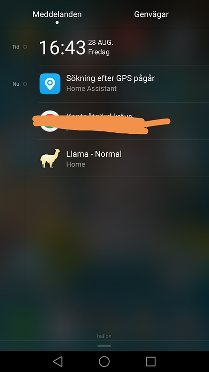 GPS/Location update frequency - Home Assistant Companion for Android - Home Assistant Community
