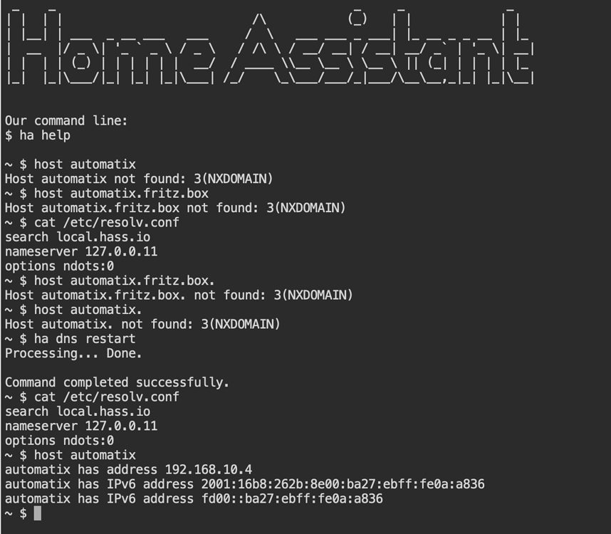Local Dns Home Assistant Os Home Assistant Community
