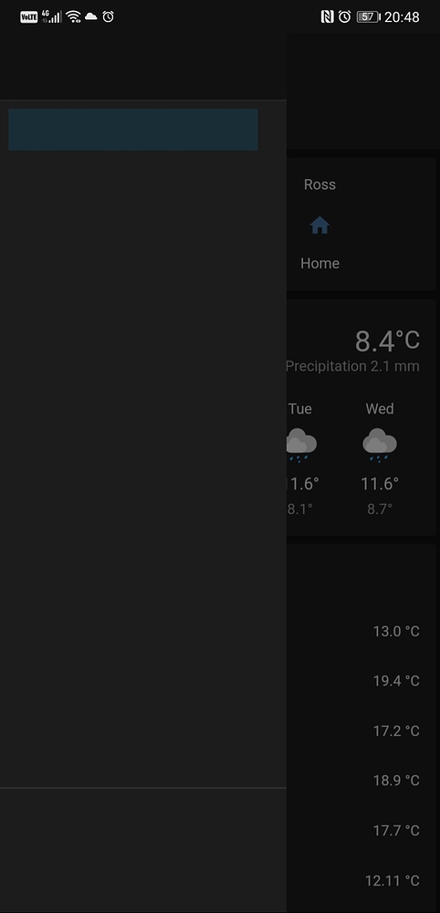 Screen corruption in android app since 116? - HA Client for Android ...