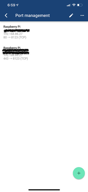 Home Assistant - Remote Access (Port forwarding on nest Wifi ...