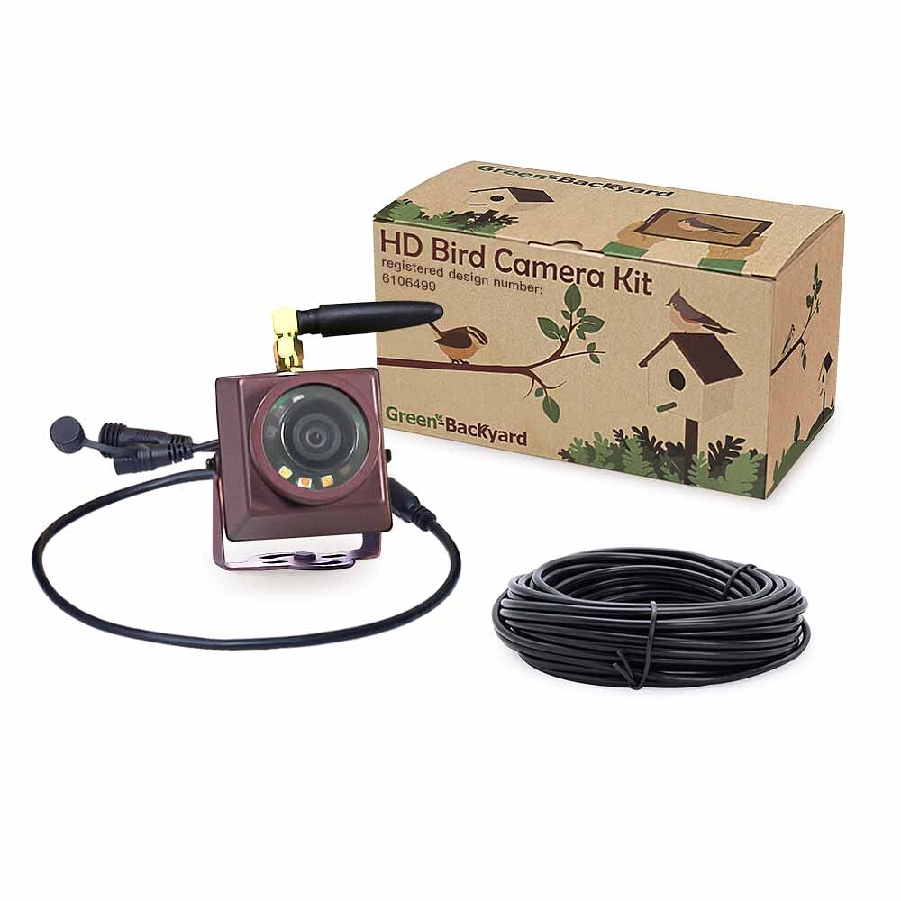 Looking for a custom solution for a Birdhouse camera - Hardware - Home ...