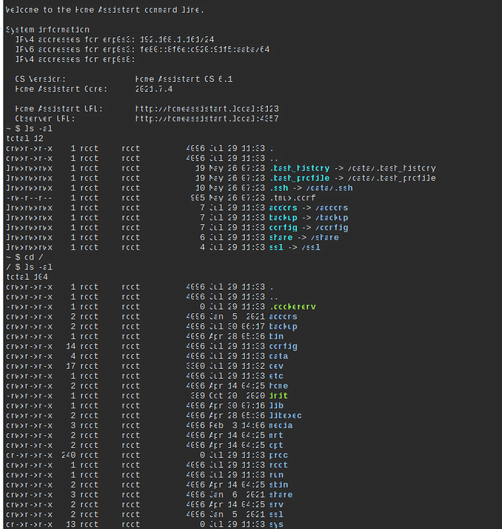 In HA 2021.7.4 - terminal characters are truncated - Home Assistant OS ...