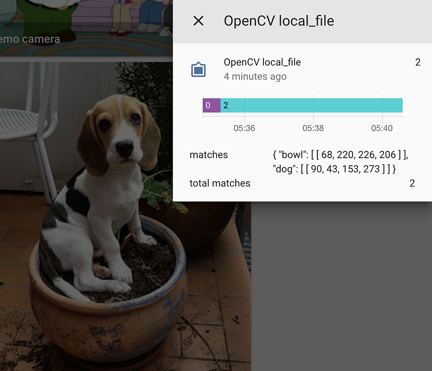 Object Detection Using Opencv And Darknet Yolo Share Your Projects