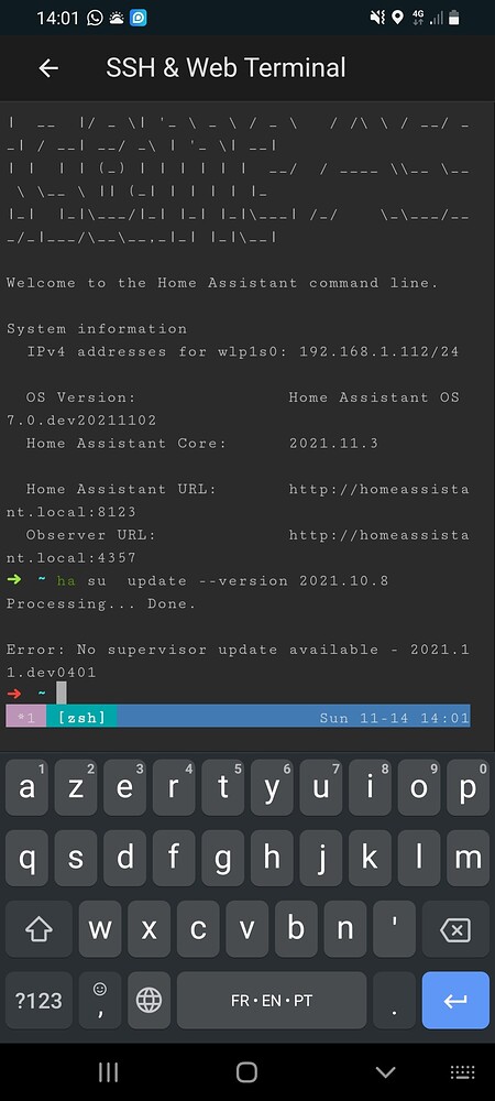 Supervisor and OS on Dev version, how to go to stable version? - Home ...