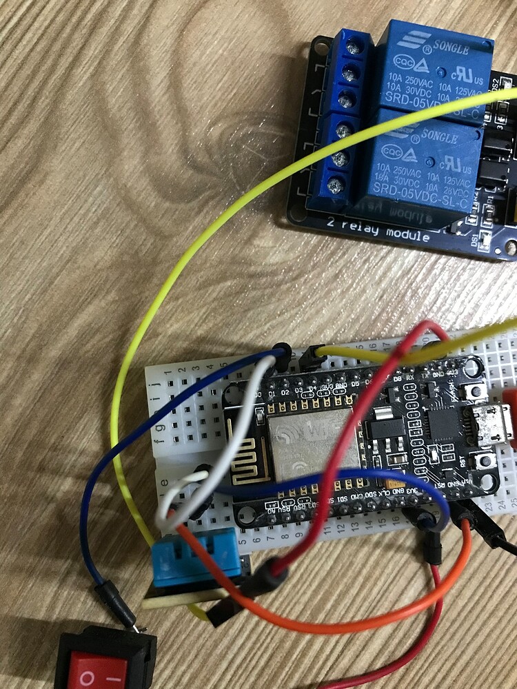 Relay and Switch My Question - ESPHome - Home Assistant Community