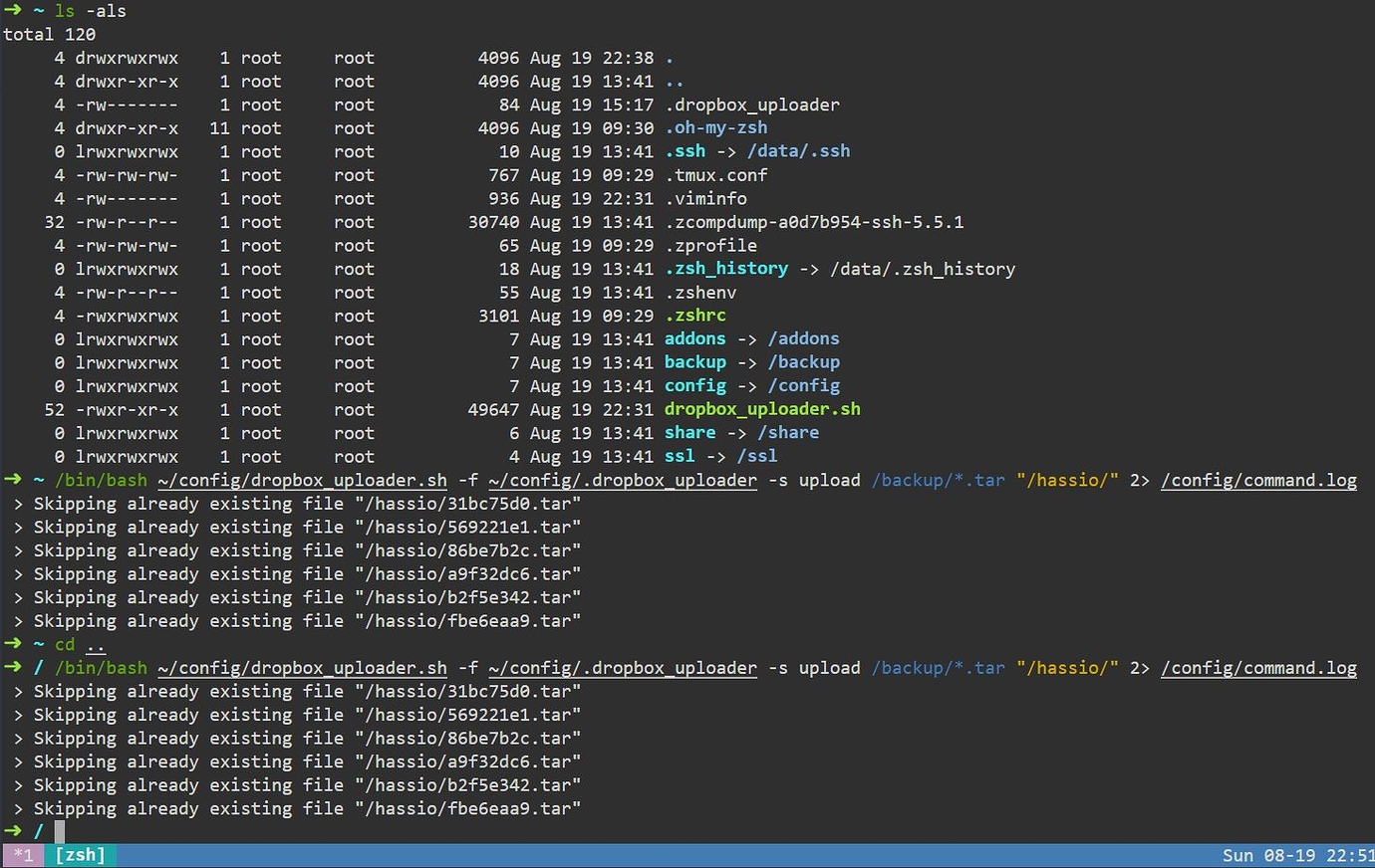 Bash script works ok from SSH Terminal, not when used as shell_command ...