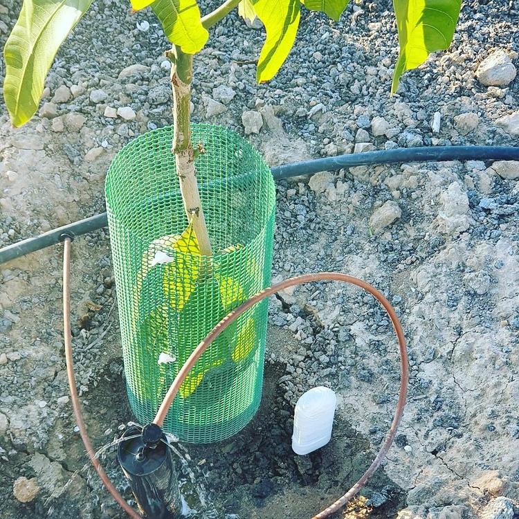 Plant soil monitoring - Share your Projects! - Home Assistant Community