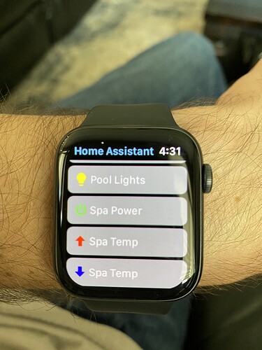Pool Controller with nodejs-poolController via MQTT - Configuration - Home Assistant Community