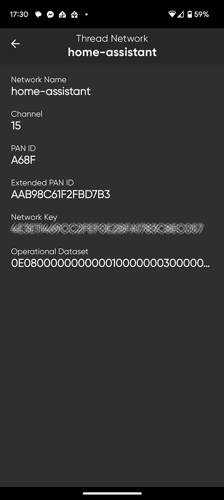My Thread configuration journey (Combining Google Nest Hub and ...
