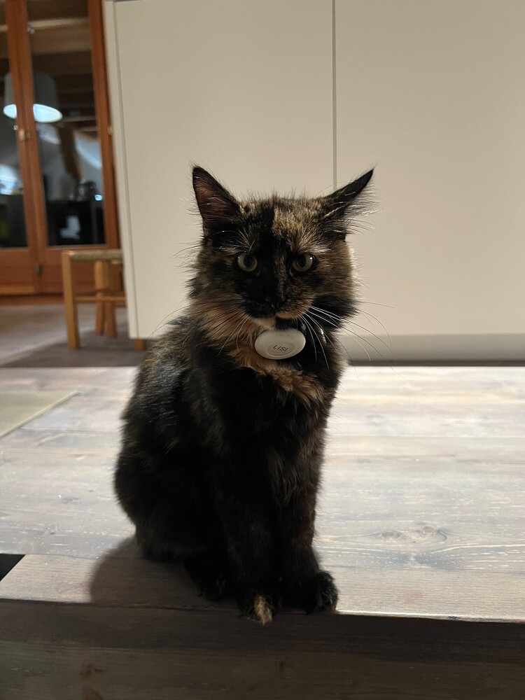 Motion heat map - Frontend - Home Assistant Community