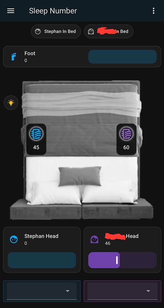 Sample (SleepIQ) Sleep Number Dashboard setup? - Configuration - Home ...