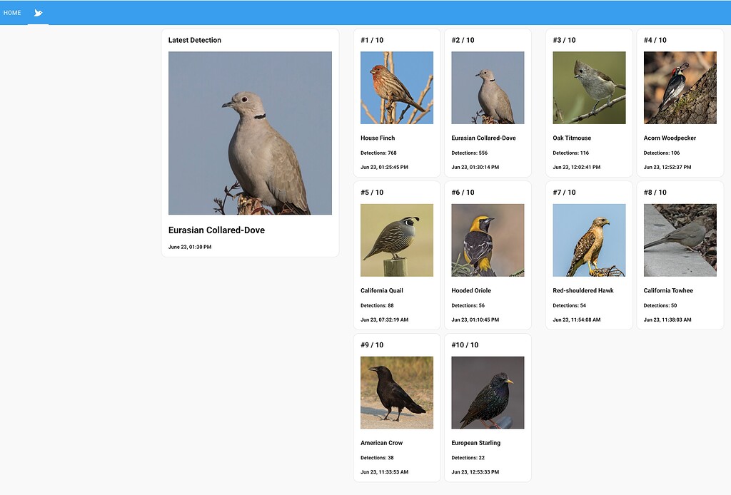Bird detector sensors and dashboard - Dashboards & Frontend - Home ...