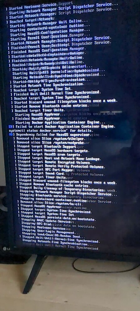 HassOS boot loop error - Home Assistant OS - Home Assistant Community