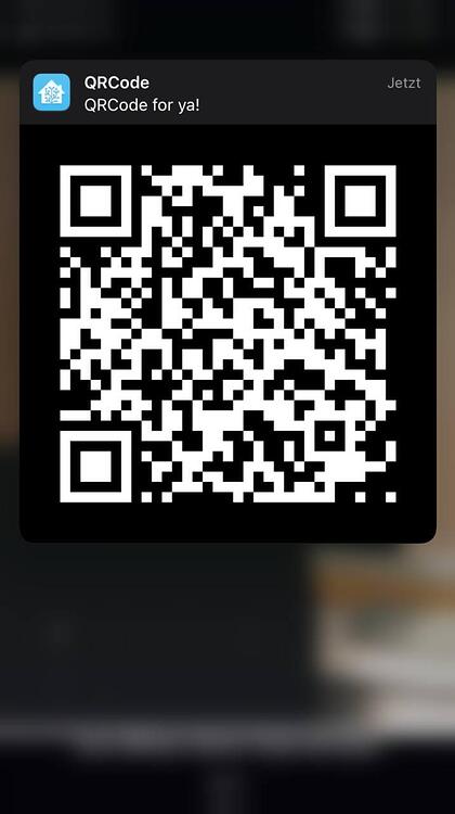 QR Codes Integration (qrcam) - Custom Integrations - Home Assistant ...