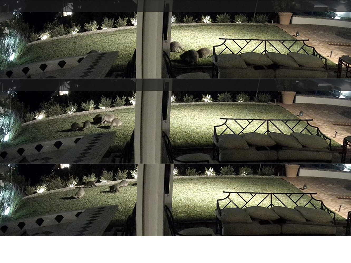 Frigate - Detecting small objects - birds, cats etc - Configuration ...