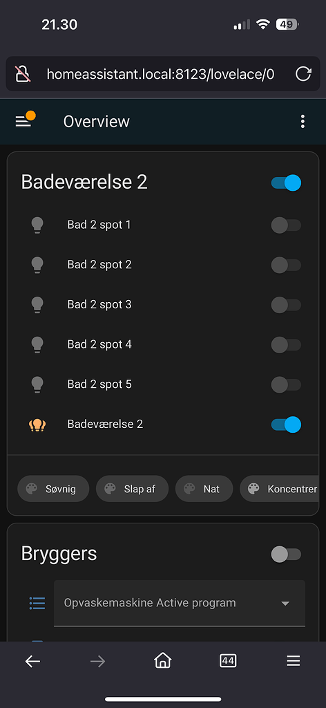 My Iphone can not connect through the app, but can through the browser ...