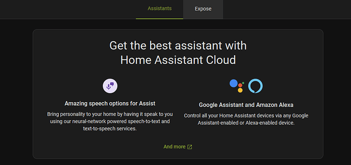 Configure non-HA-cloud integrated Google Assistant via Voice Assistant menu - Voice Assistant ...