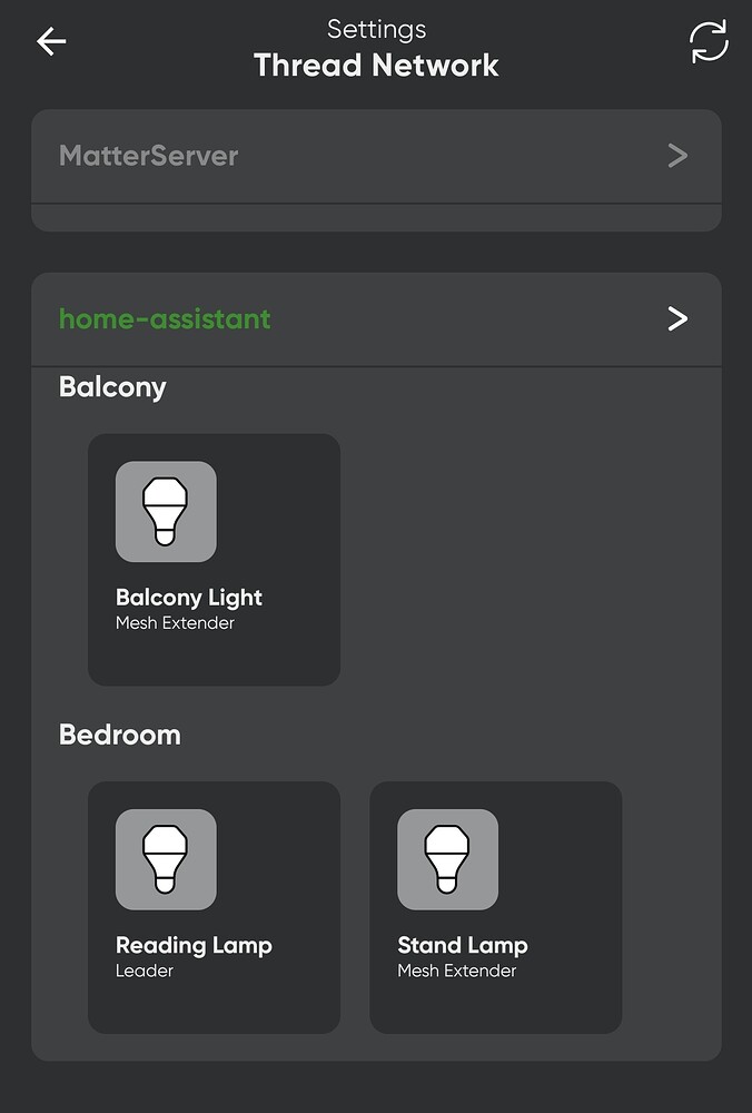 Matter trying to connect nanoleaf bulb to wrong thread network ...