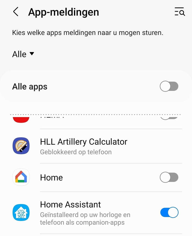 Wear OS notifications - Home Assistant Companion for Android - Home Assistant Community