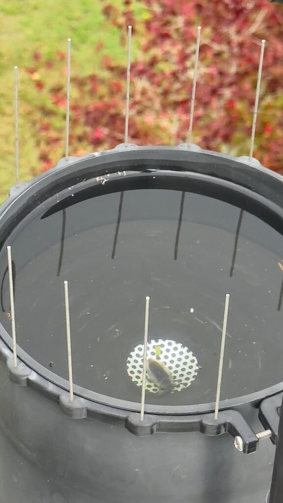 Rain gauge clogging? - Hardware - Home Assistant Community