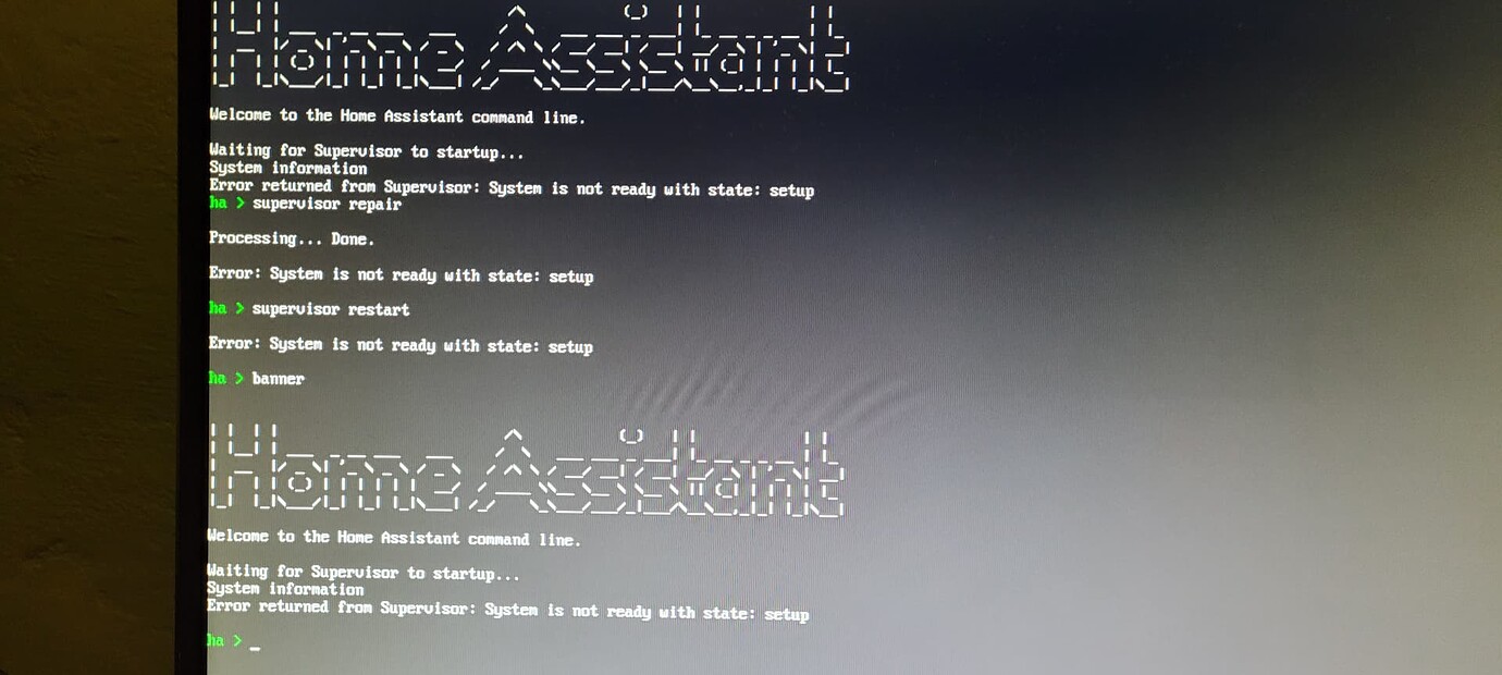 Error returned from Supervisor: System is not ready with state: setup - Home Assistant OS - Home ...
