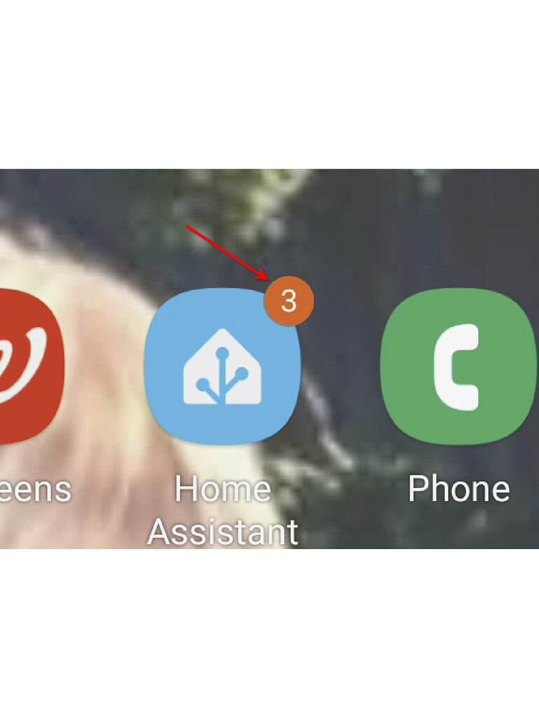 Notifications on my phone- where are they? - Home Assistant Companion ...