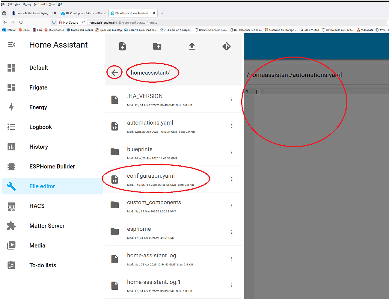 HA Core Update Failed and Recovery Mode Activated - Installation - Home Assistant Community
