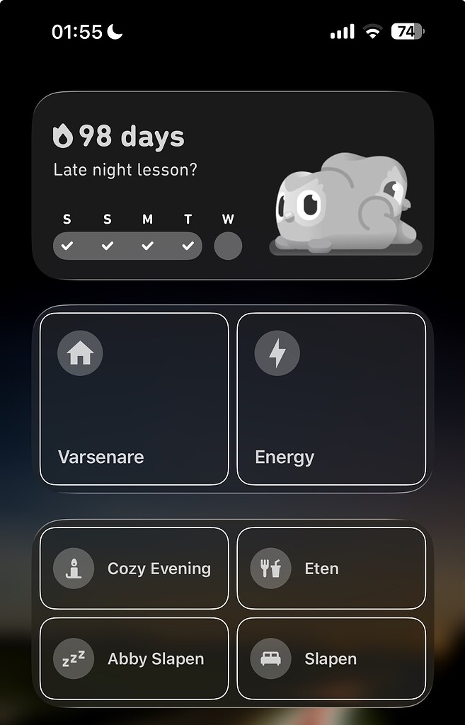 iOS 26 - Widget borders - Home Assistant Companion for Apple - Home ...