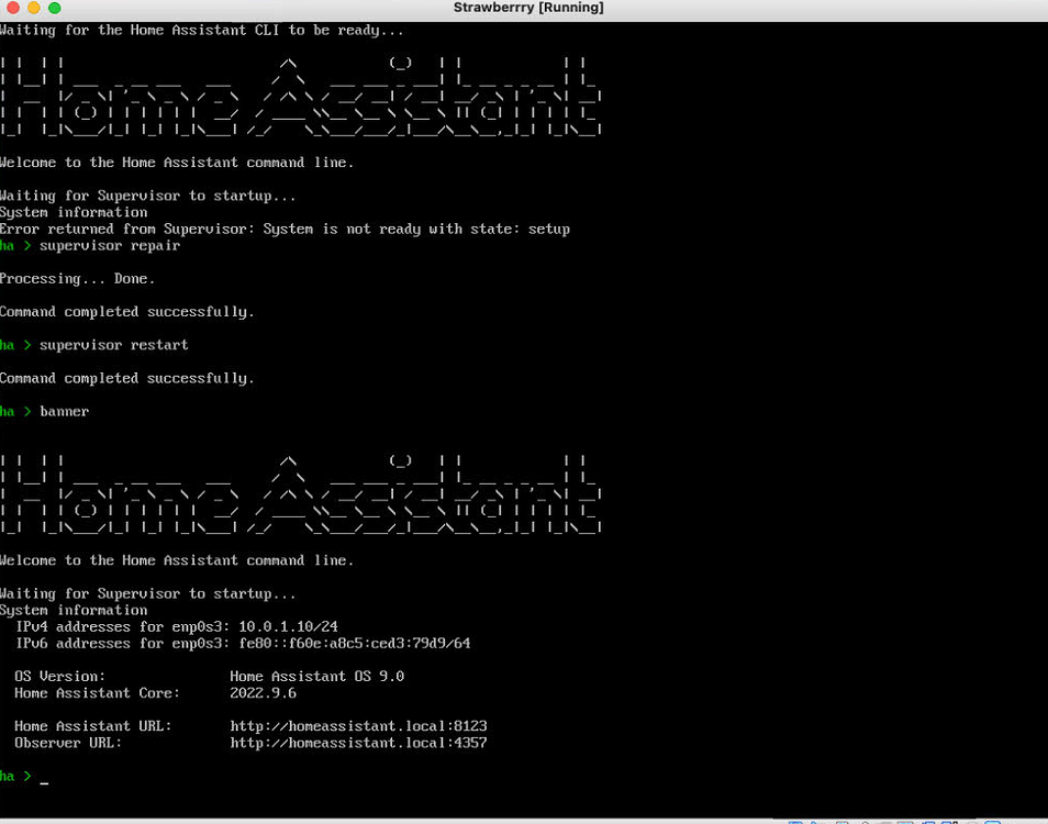 Error Returned From Supervisor System Is Not Ready With State Setup Page 2 Home Assistant