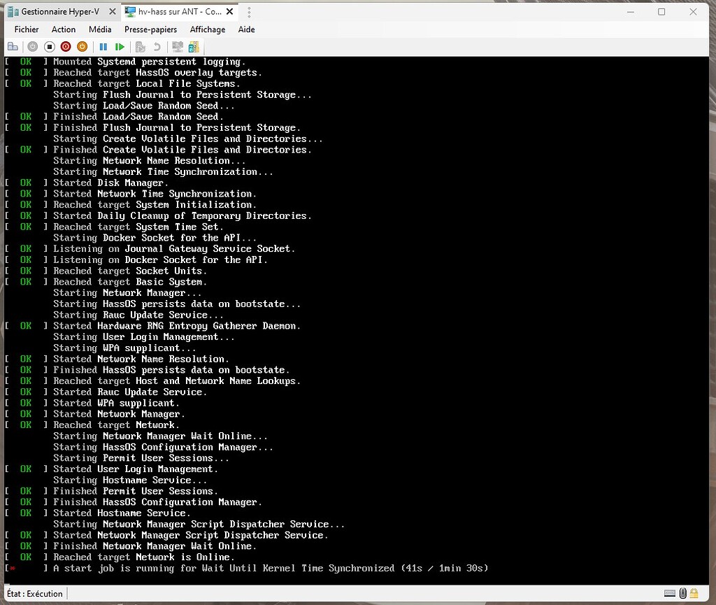 Hyperv-install : no ip? - Installation - Home Assistant Community