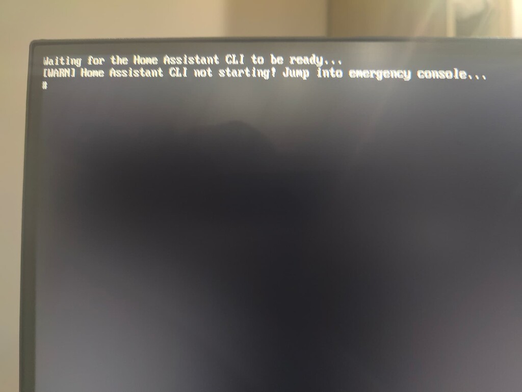 [Warn]Home assistant CLI not starting! Jump into emergency console ...