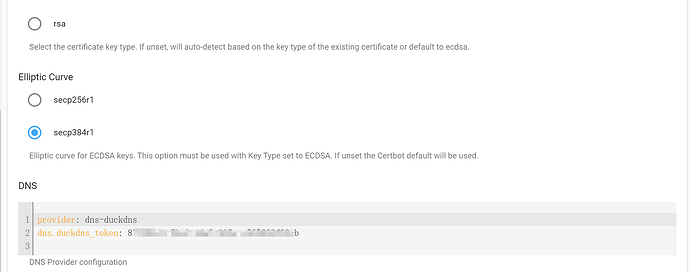 Lets Encrypt Configure Error Please Set A Value For The Dns Duckdns Token Option Home