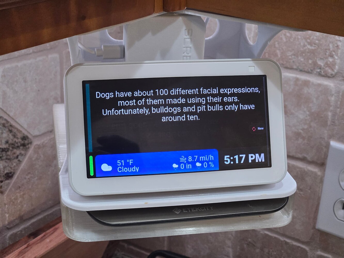 Echo Show 5 Dashboards- Keep the screen on, show all Alexa timers, Fun ...