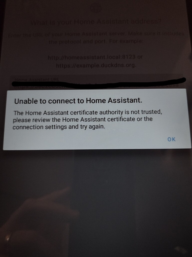 Can't login with the app - Home Assistant Companion for Android - Home Assistant Community