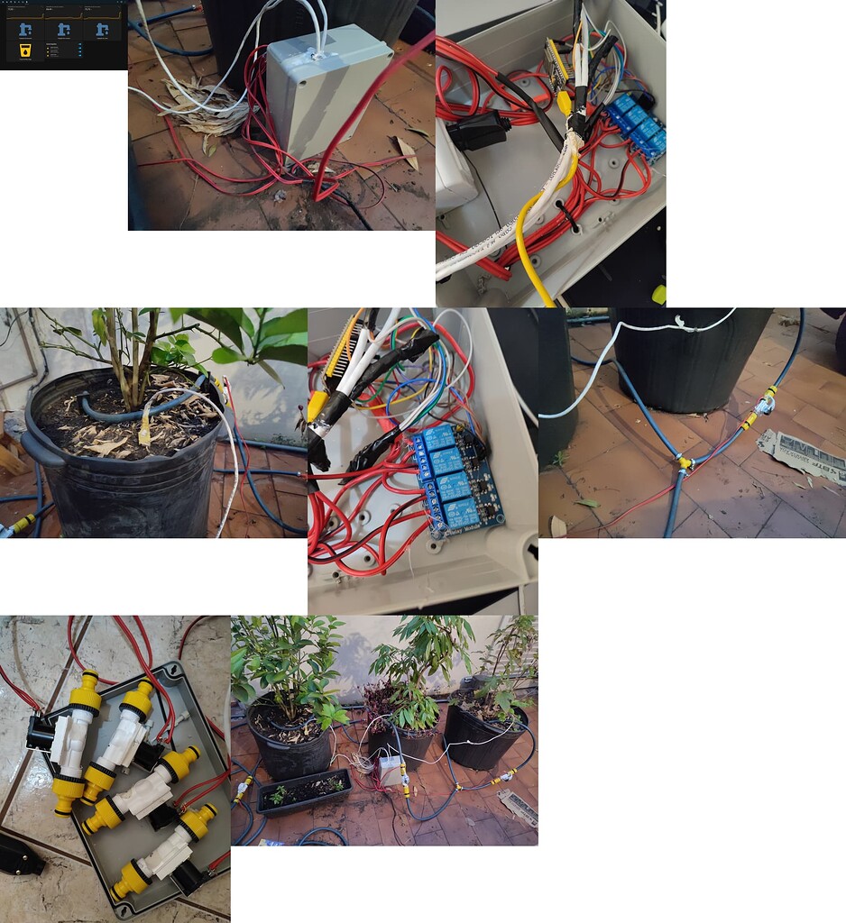 Irrigation sytem for trees using ESP32 - Share your Projects! - Home ...