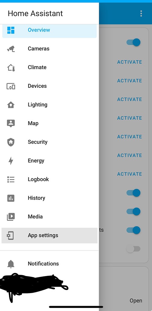 App Settings Hidden in Home Assistant iPhone App - Home Assistant Companion for Apple - Home ...