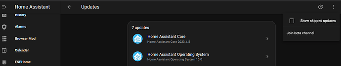 How To Revert Skipped Update Configuration Home Assistant Community