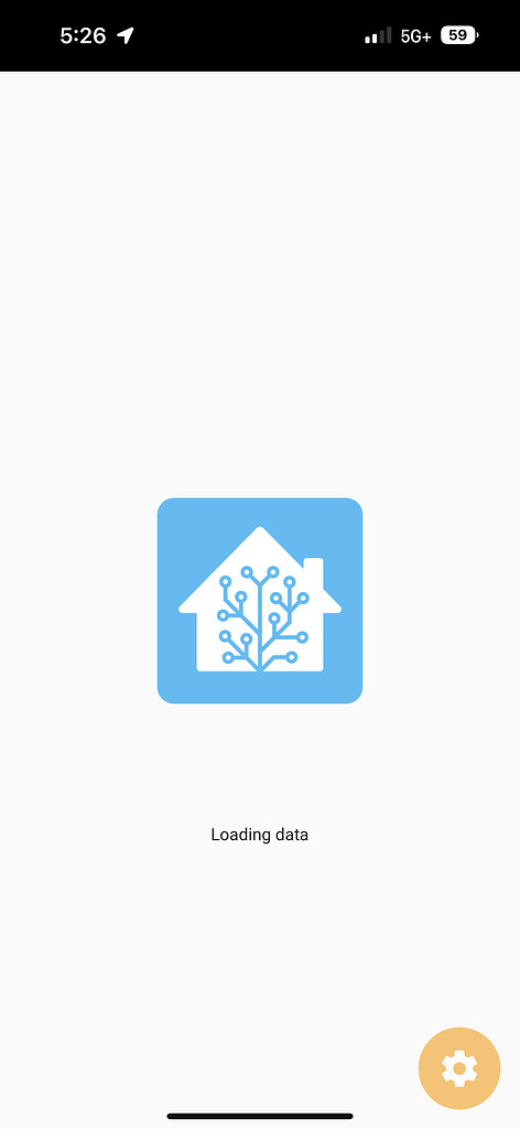 Loading data screen custom icon - Mobile Apps - Home Assistant Community