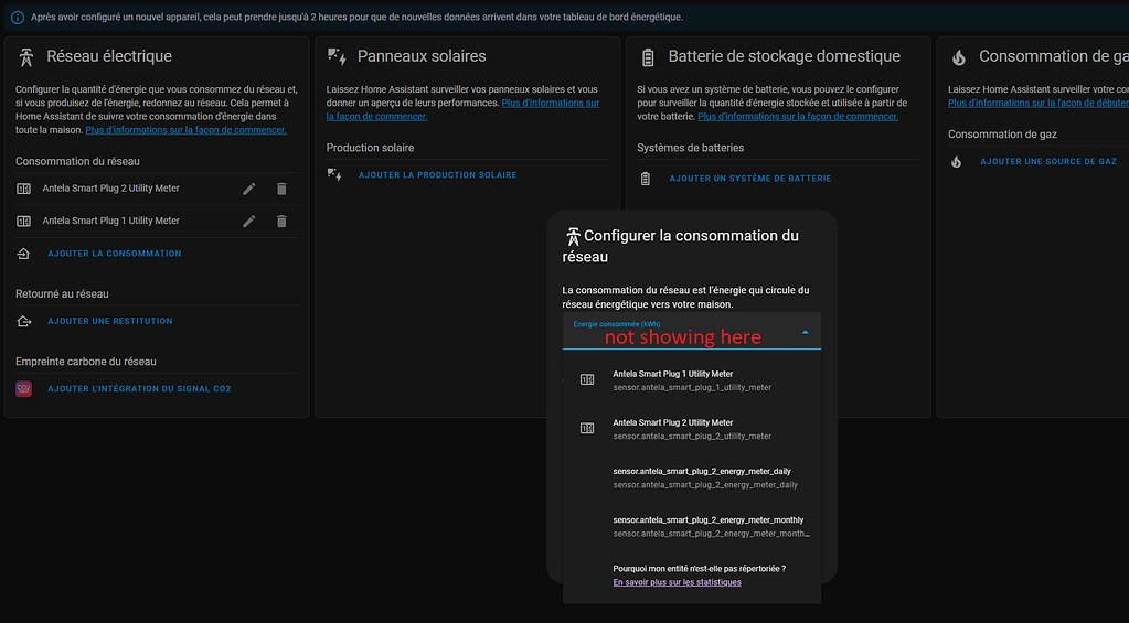 Can't setup energy probably due to wrong unit of measurement - Configuration - Home Assistant ...