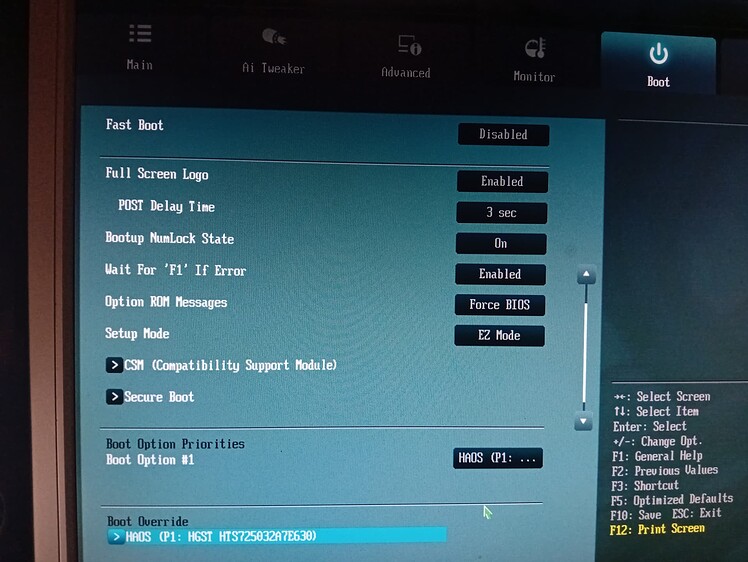 Haos Install On Pc Not Booting Installation Home Assistant Community
