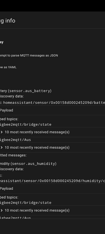 Wth Is The Debug Info Covering The Whole Display In The Companion App Month Of What The