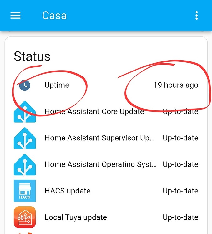 Home Assistant Automatic Restart For Api Call Error Home Assistant Os Home Assistant Community 4010