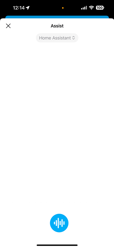 How to use Voice Assist on mobile app? - Voice Assistant - Home ...