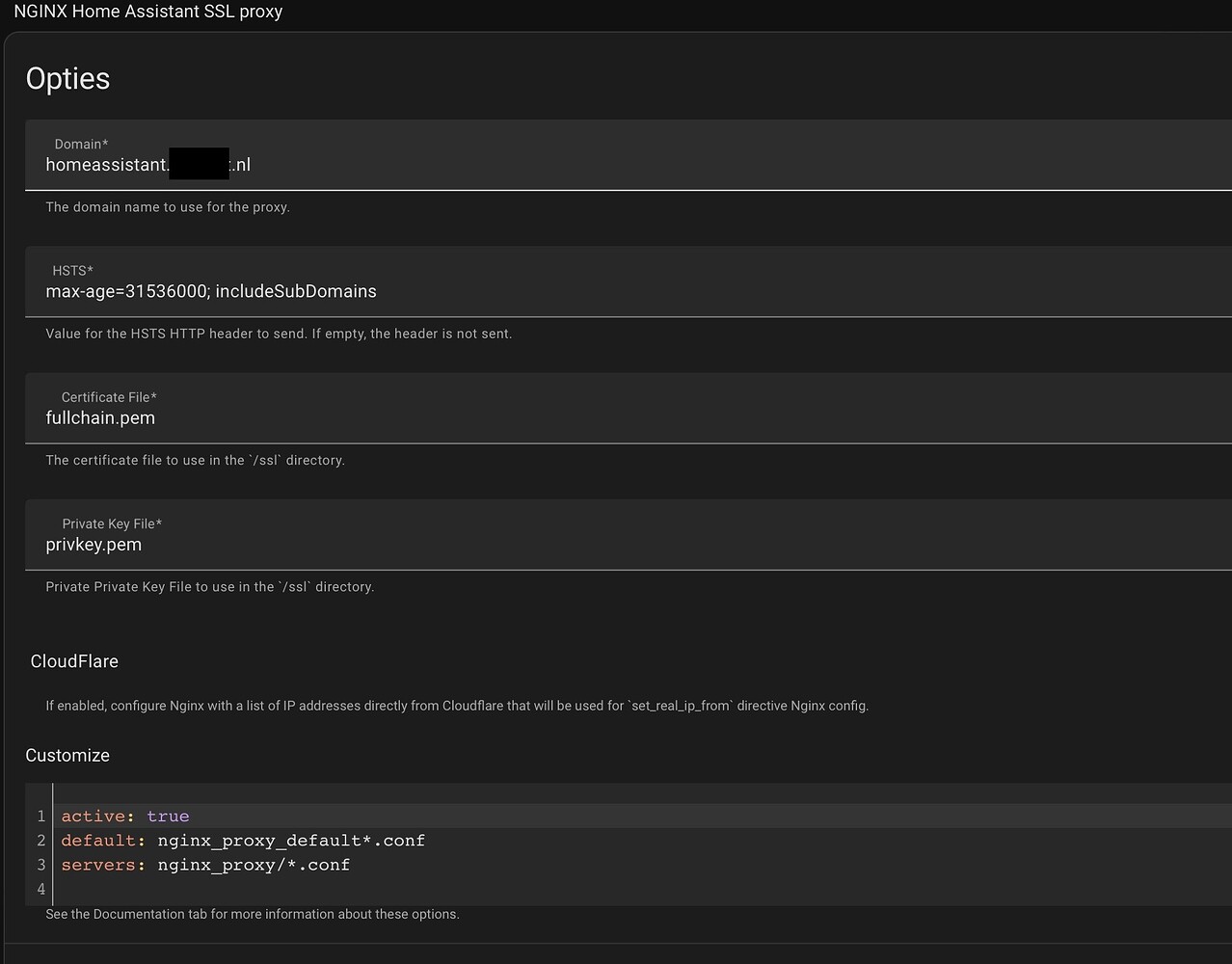 Problem with NGINX reverse proxy setup - Configuration - Home Assistant Community