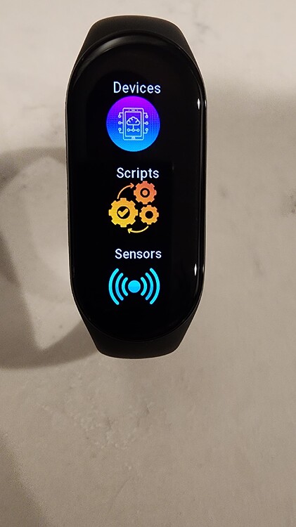 Affordable Smart Wearable meets Home Assistant - Share your Projects ...