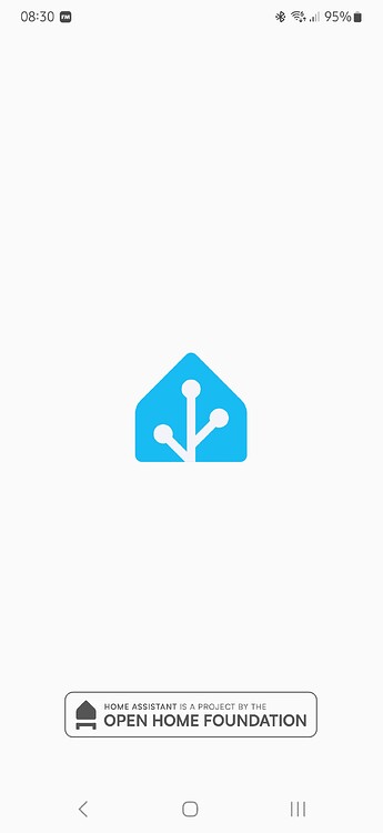 No user interface, can't reach home assistant - Frontend - Home ...