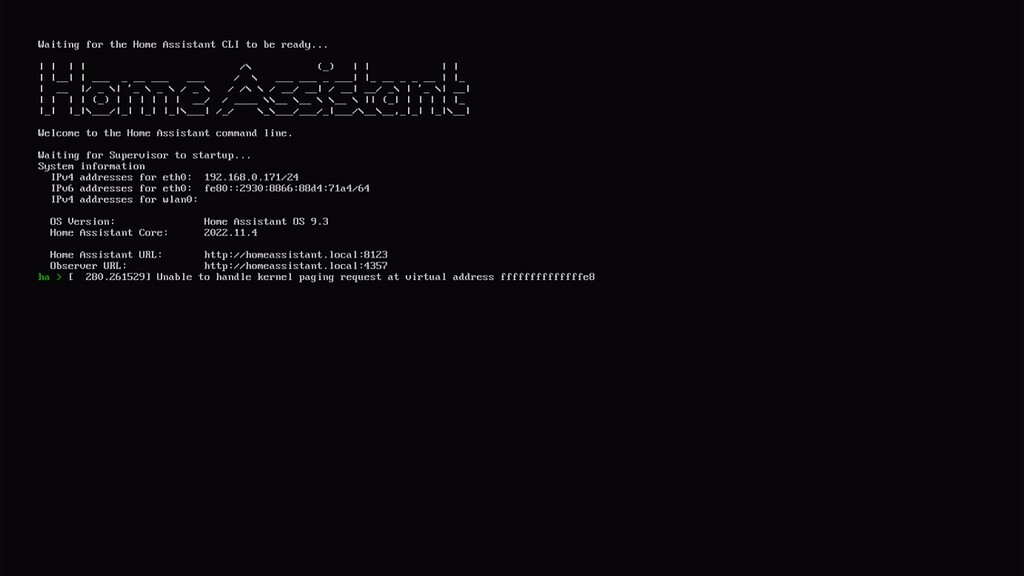 Error: Unable to handle kernel paging request at virtual address - Home Assistant OS - Home ...