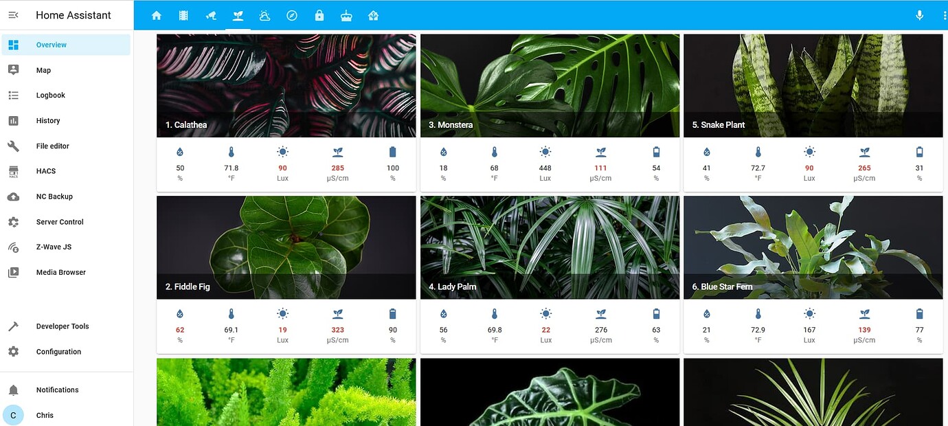 Plant moisture notification - Blueprints Exchange - Home Assistant ...